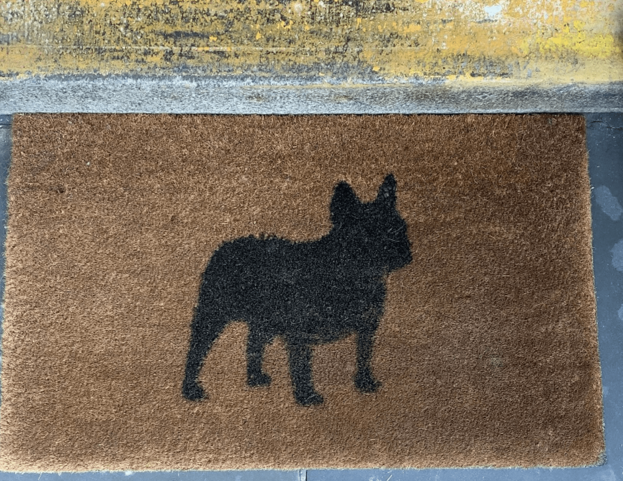 Discovering Easton: The Modern Bulldog - Discover Easton, Maryland