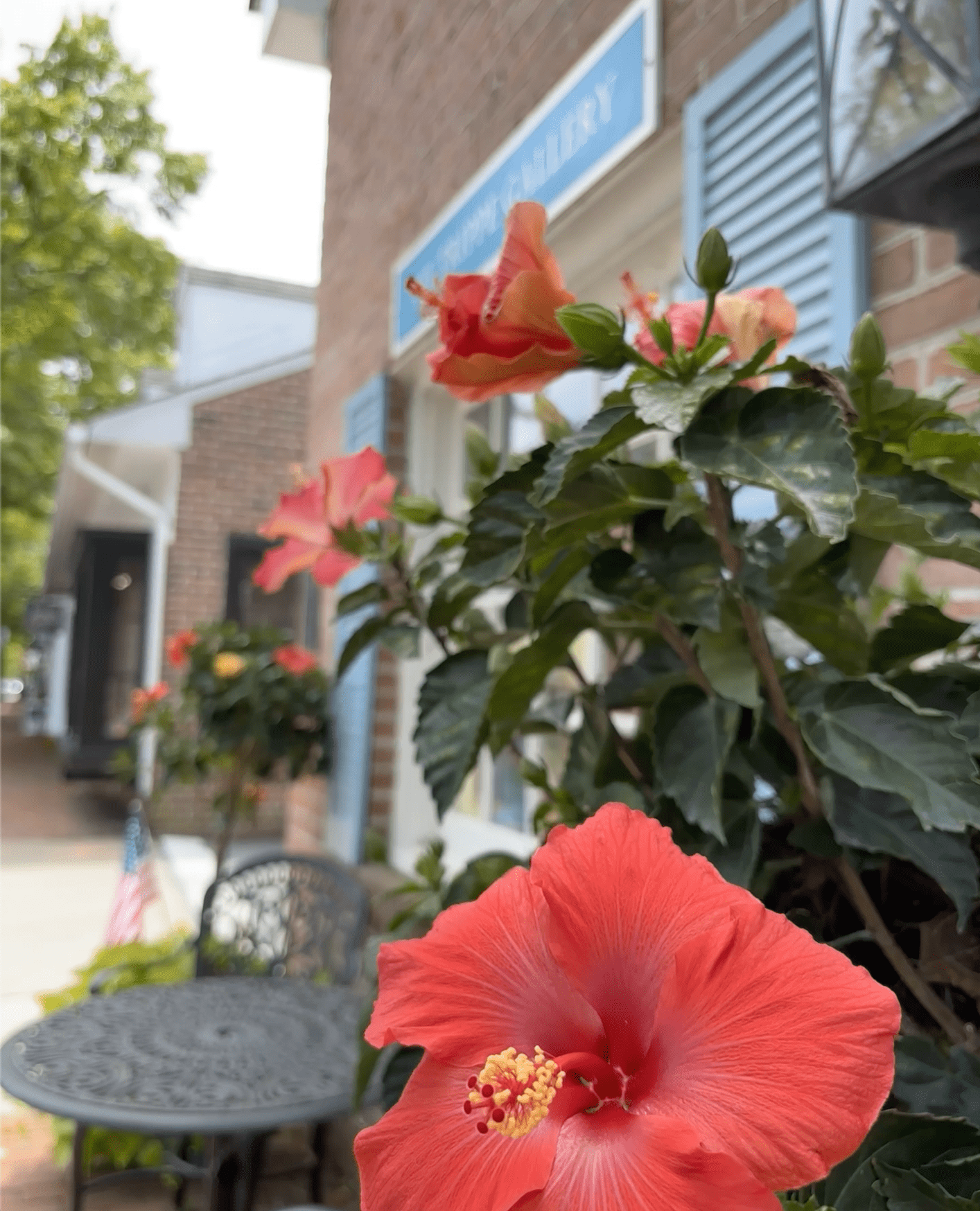 Discovering Easton: Trippe Gallery - Discover Easton, Maryland